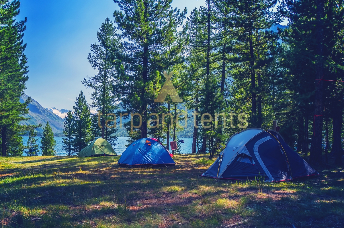Camping / Trekking Tent - Tarp and Tents